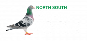 Winners North & South Pigeon Auctions – Pigeon Auctions Ireland
